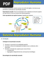 Estágios de Tanner no Desenvolvimento Masculino | PDF | Anatomia sexual ...