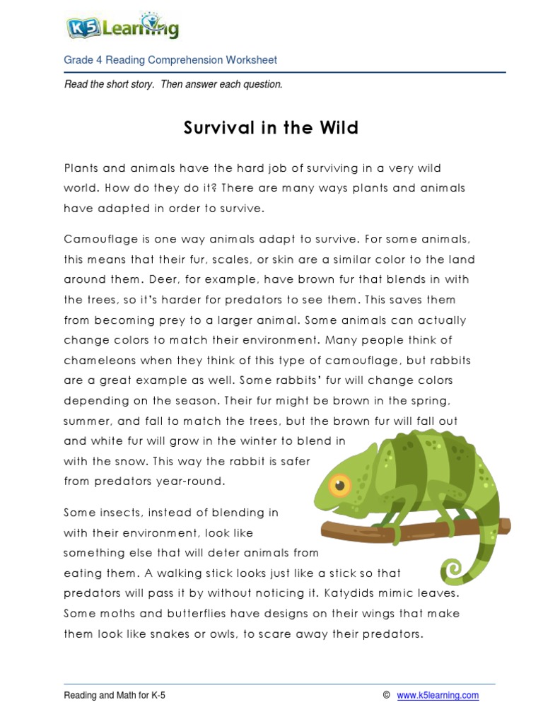 Survival in The Wild: Grade 4 Reading Comprehension Worksheet | PDF | Predation | Petal