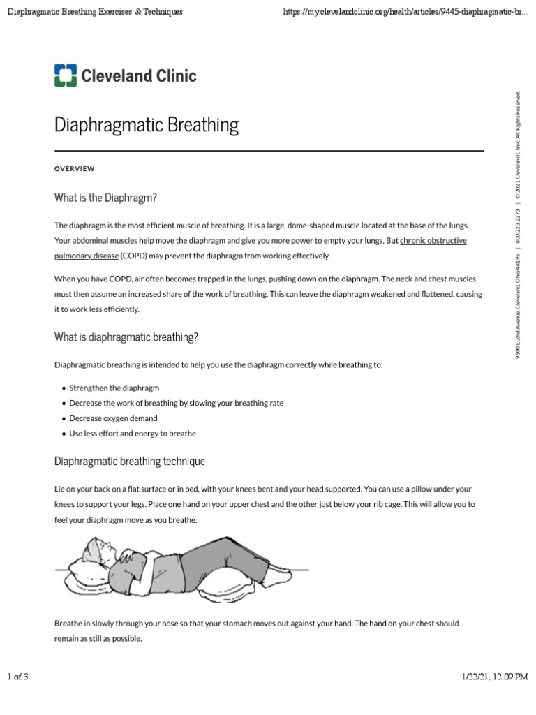 Diaphragmatic Breathing: What Is The Diaphragm? | PDF | Wellness