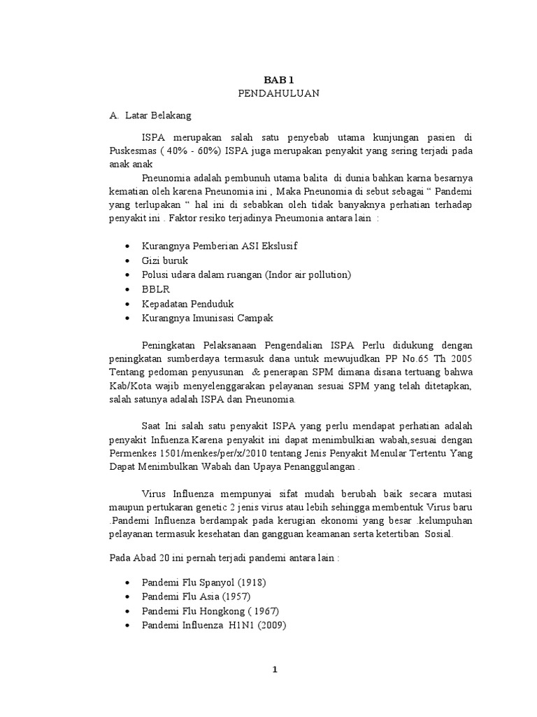 Pedoman Internal Ispa | PDF