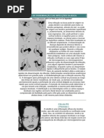 Fleimao | PDF | Medicina Clínica | Especialidades médicas