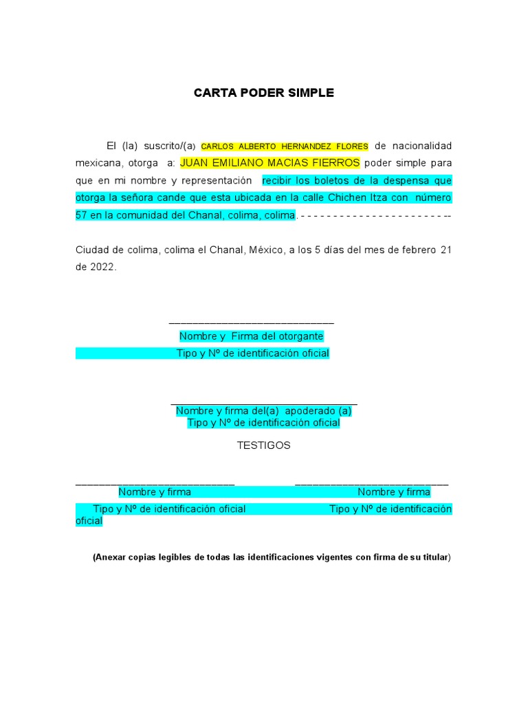 Carta Poder Ejemplo | PDF