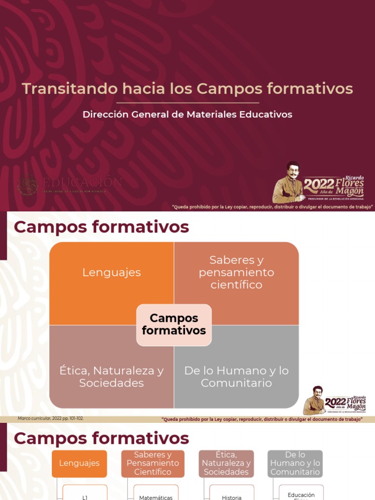 Transitando Hacia Los Campos Formativos | PDF | Plan de estudios | Conocimiento