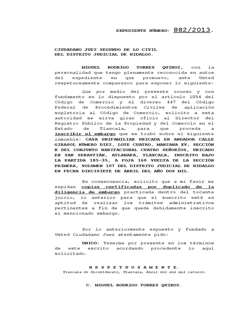 Escrito Solicitando Inscripción de Embargo. | PDF