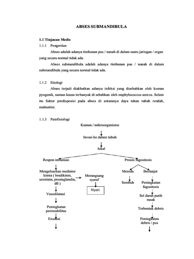 Qdoc - Tips Abses Mandibula | PDF