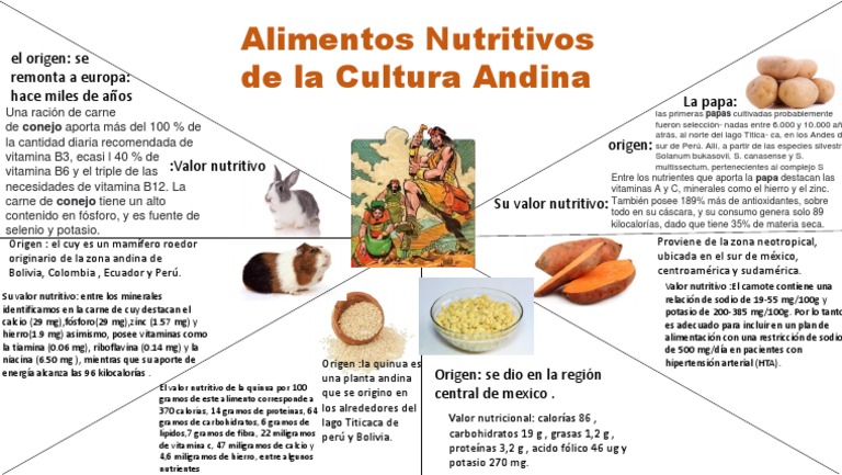 Infografia Alimentos Nutritivos de La Cultura Andina | PDF | Nutrición ...