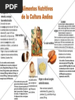 Infografia Alimentos Nutritivos de La Cultura Andina | PDF | Nutrición ...