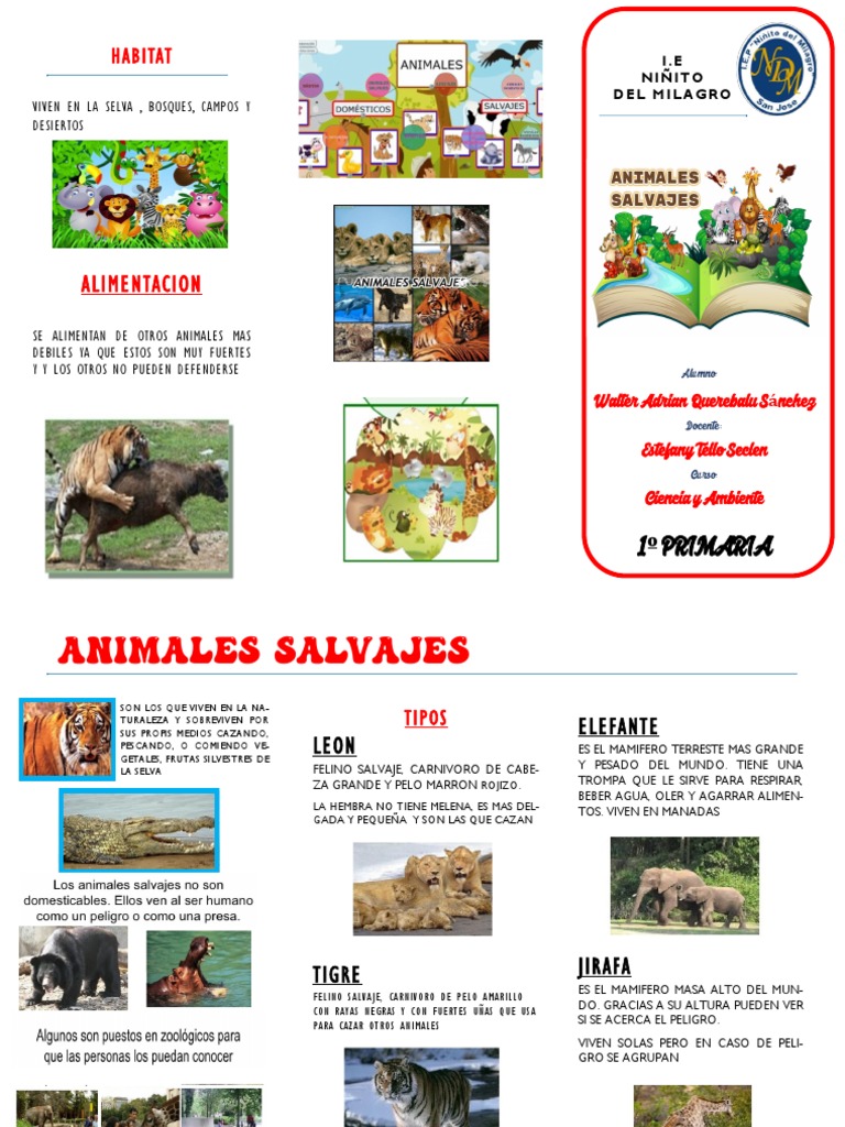 Animales Salvajes | PDF