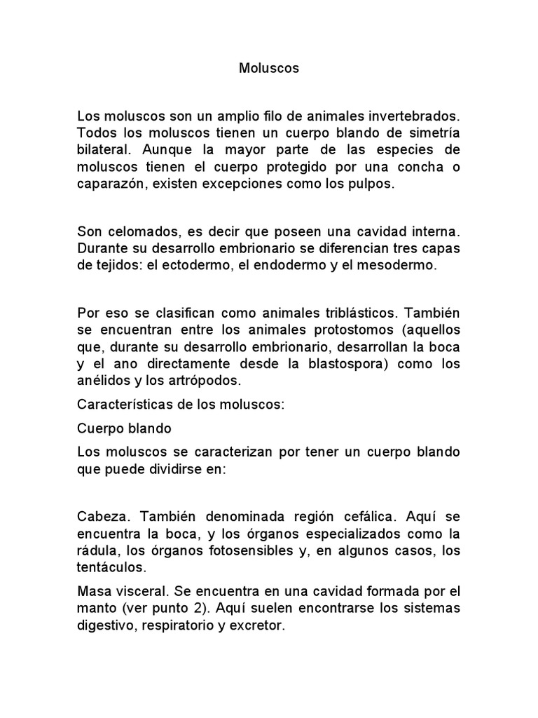 Características de los Moluscos | PDF | Moluscos | Moluscos