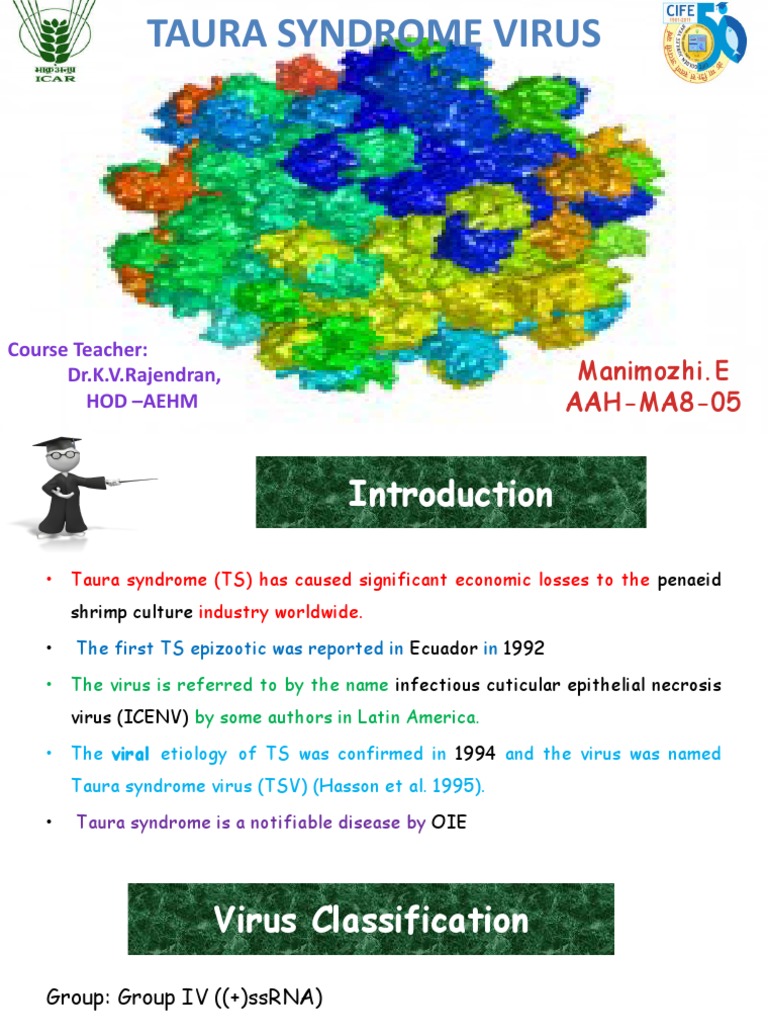 Manimozhi.E AAH-MA8-05: Course Teacher: Dr.K.V.Rajendran, Hod - Aehm ...