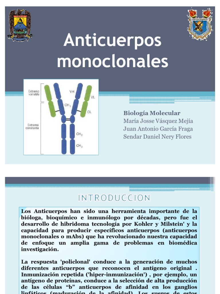 Anticuerpos Monoclonales | PDF | Anticuerpo Monoclonal | Anticuerpo