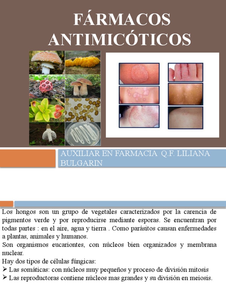 Fármacos Antimicóticos | PDF | Medicina CLINICA | Especialidades Medicas
