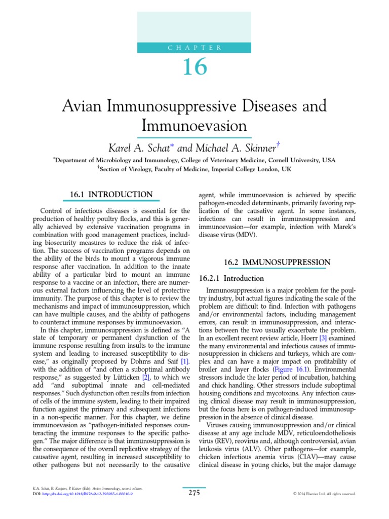 CIA Patho 1 | PDF | Immune System | Virus