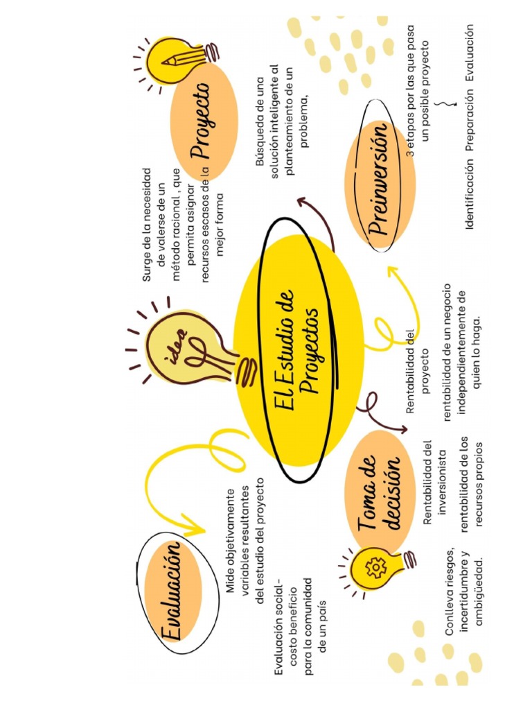 Mapa Mental Capitulo 1 y 2 Sapag | PDF