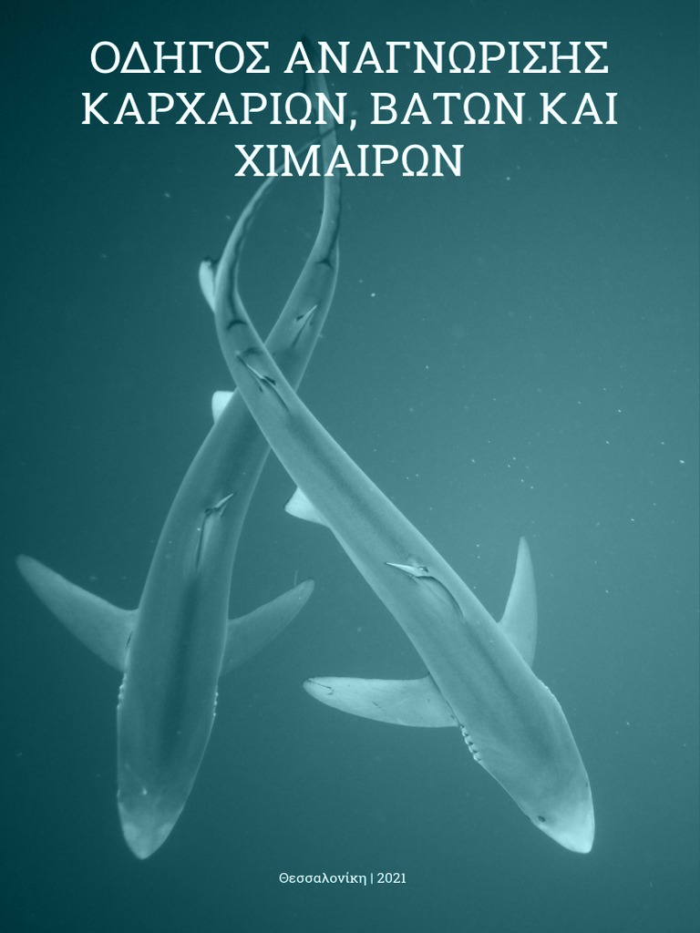 οδηγός-αναγνώρισης final | PDF
