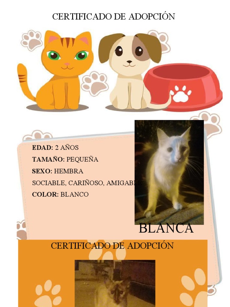 Certificado de Adopción | PDF