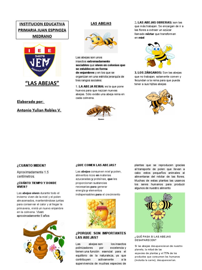 Las Abejas Toñito | PDF | Abejas | Miel