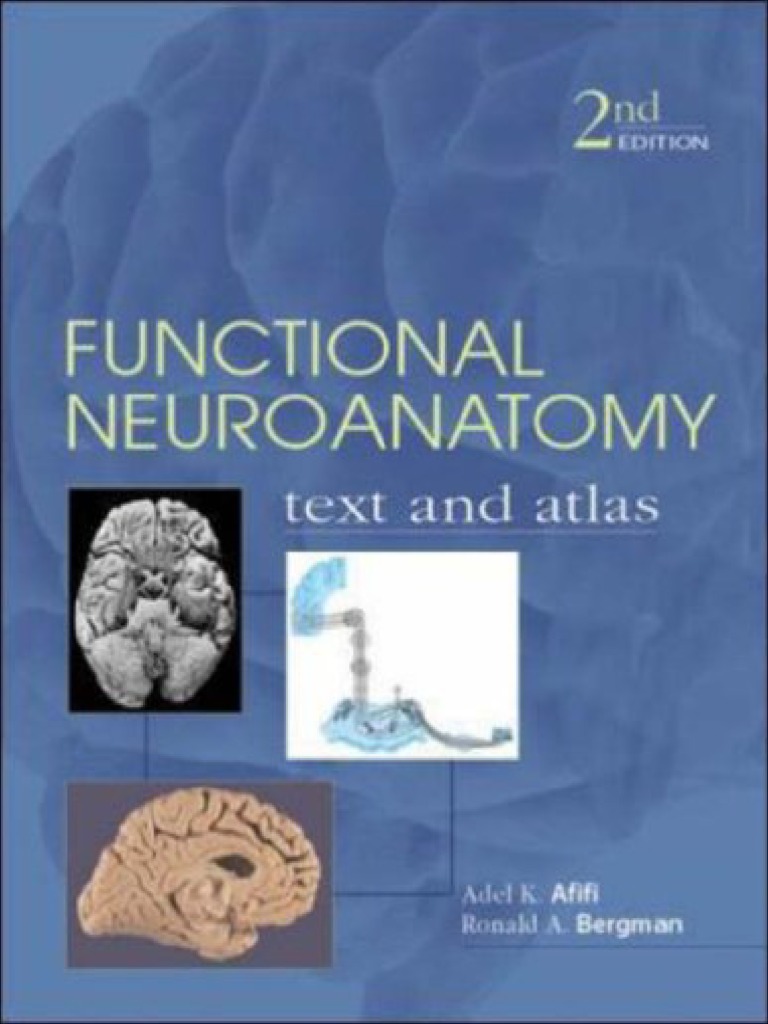 Afifi AK, Functional Neuroanatomy. 2005 (Book) | PDF | Neuron | Axon