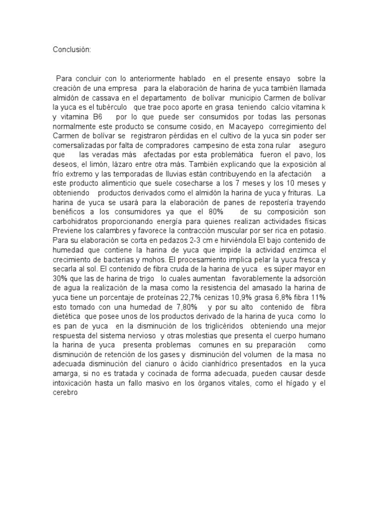 Conclusión Del Ensayo | PDF | Panes | Comida y bebida