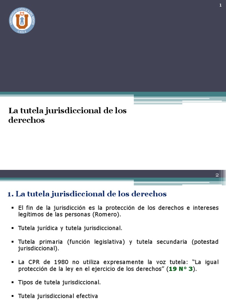 La Tutela Jurisdiccional | PDF