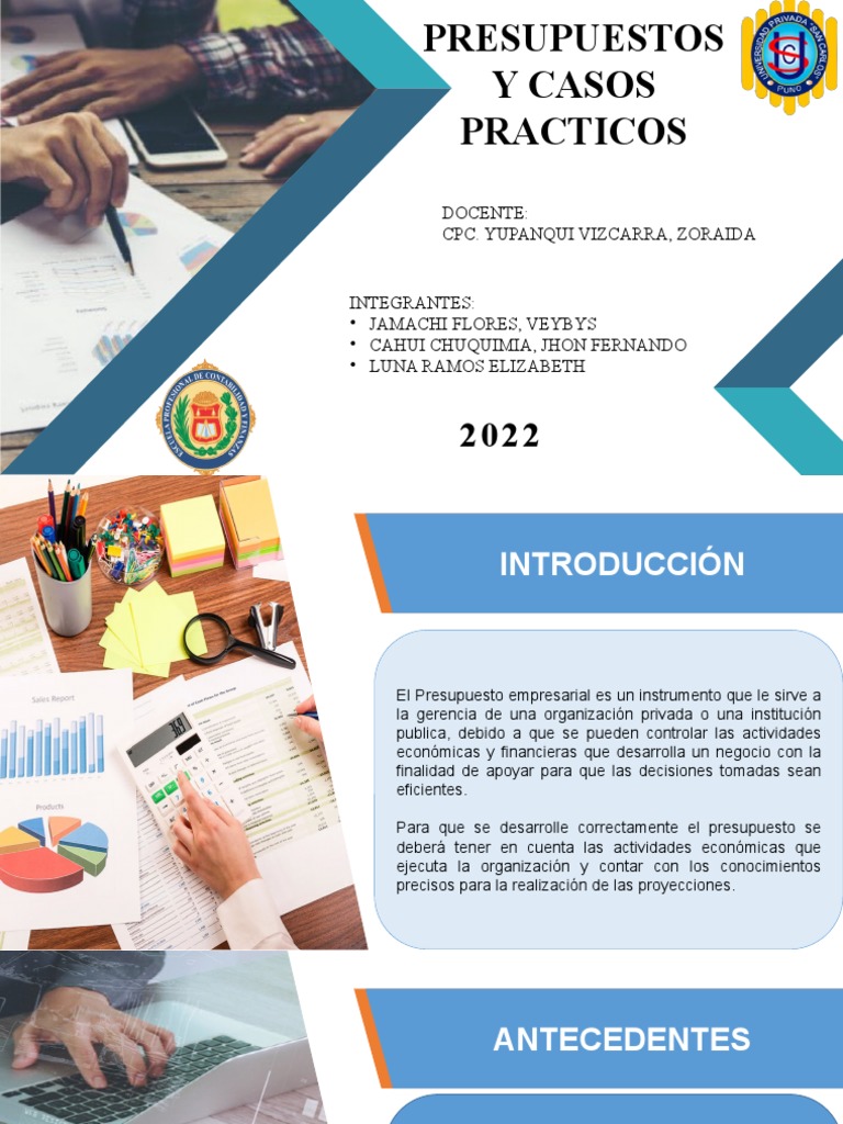 Presupuesto y Casos-1 | PDF | Presupuesto | Economias