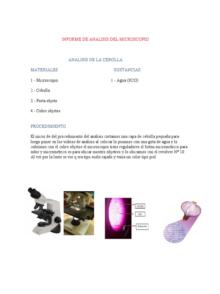 Informe de Analisis Del Microscopio | PDF