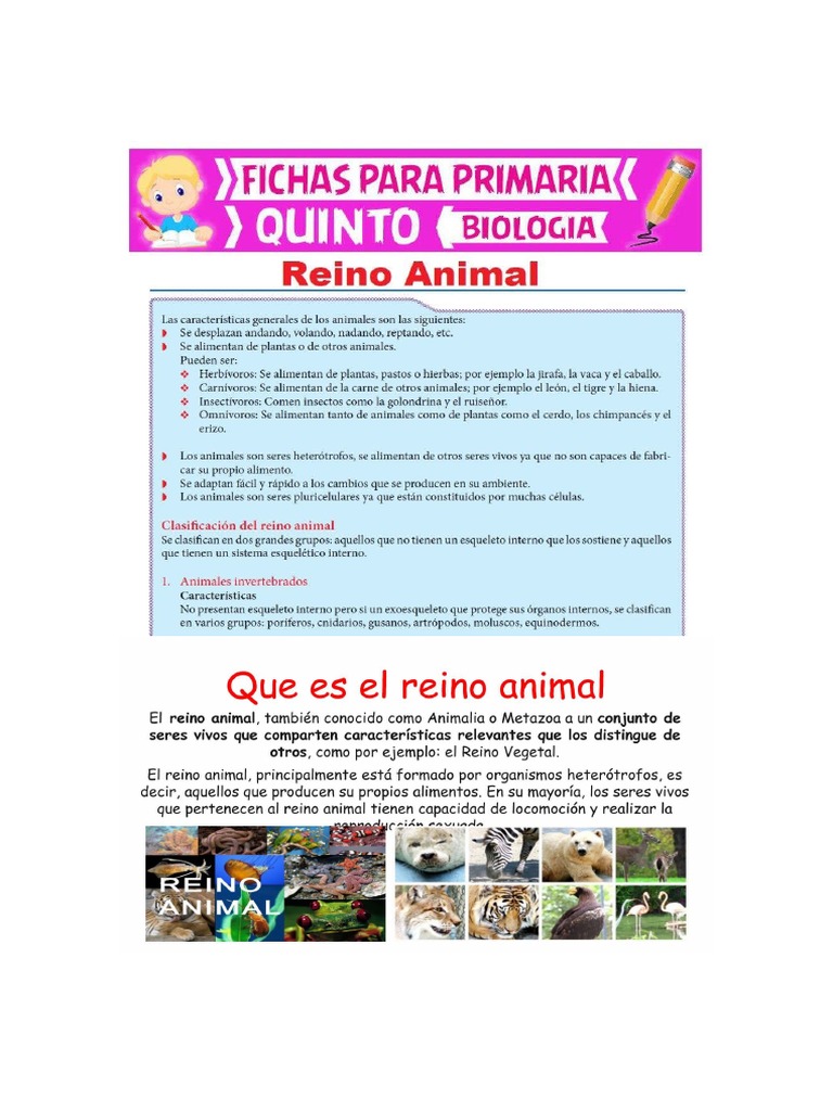 Reino Animal | PDF