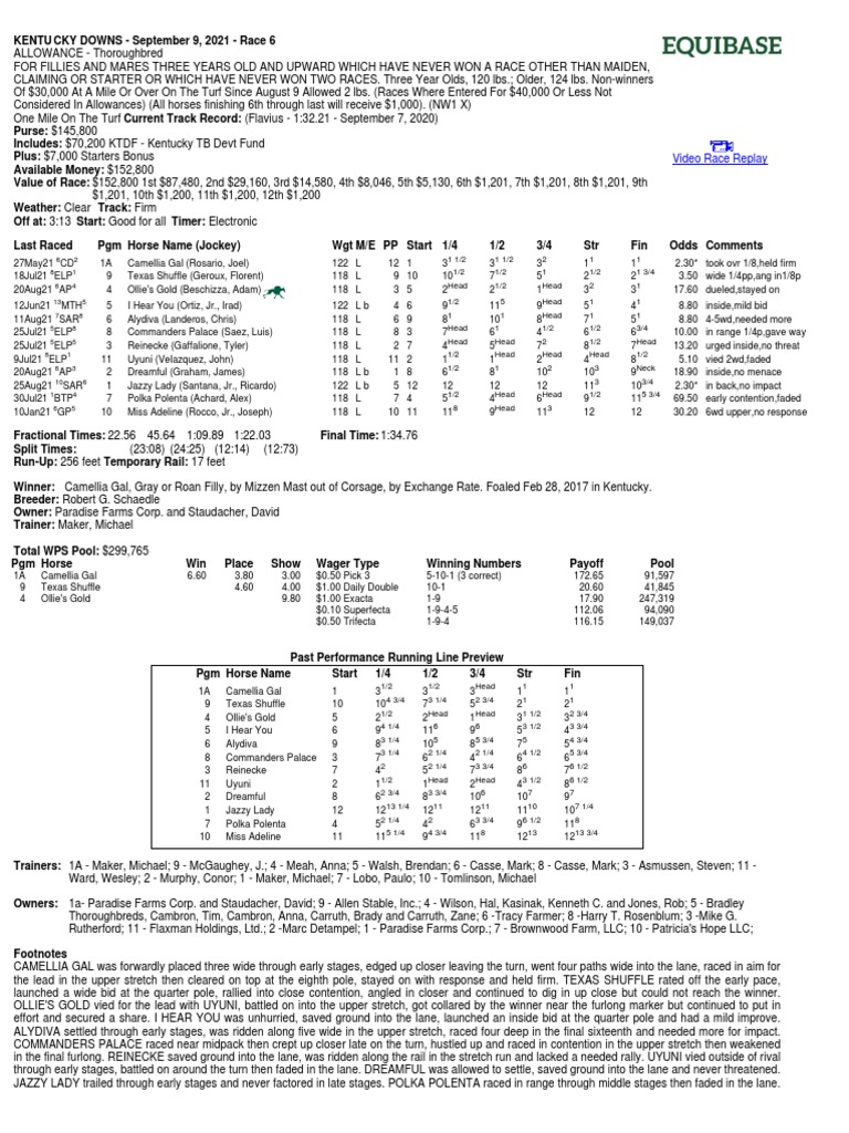 Video Race Replay | PDF | Horse Racing | Animal Racing