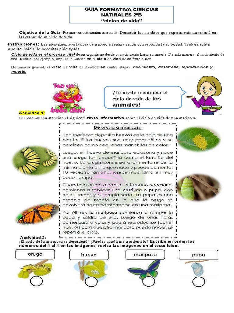 Ciclo de Vida de los Animales | PDF | Ciencia y matemáticas