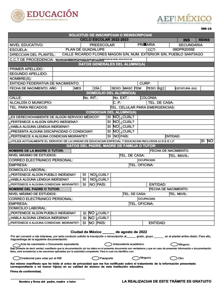 FORMATO INS - 10 Nuevo | PDF