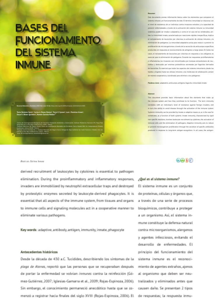 Bases Del Funcionamiento Del Sistema Inmune | PDF | Sistema inmune | Citocina