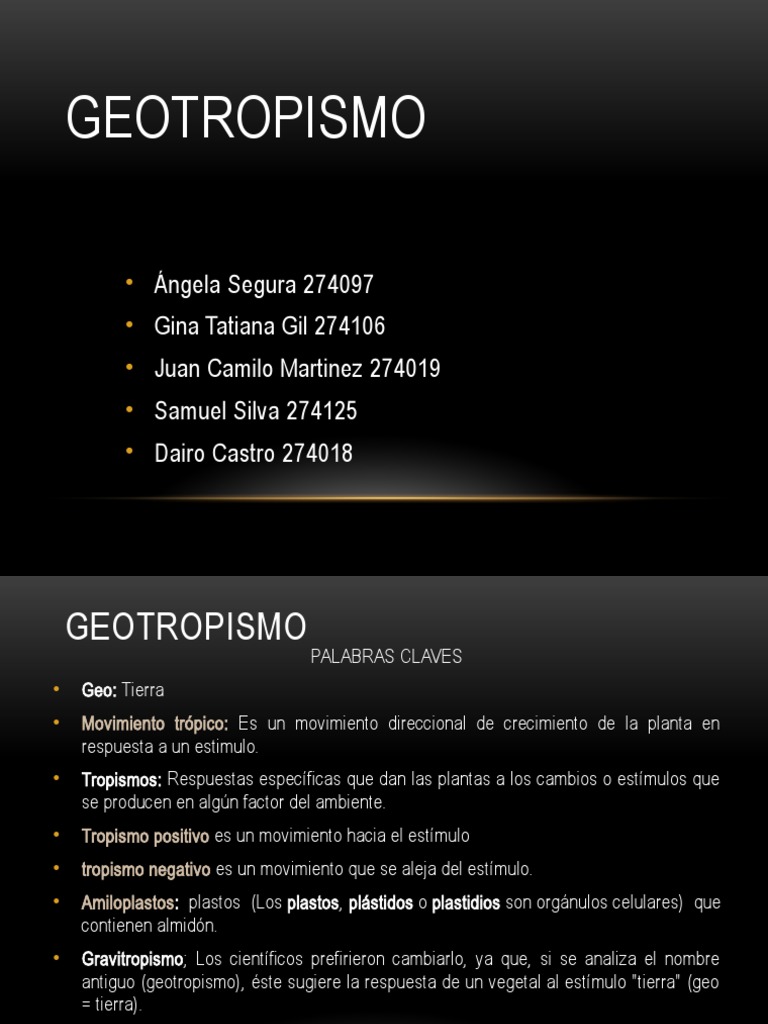 GEOTROPISMO (Exposición) | PDF | Organismos | Botánica