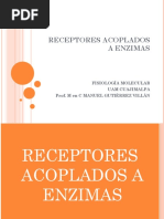 Clase 7-Cascada Ras-MAPK | PDF | Nucleo celular | Quinasa