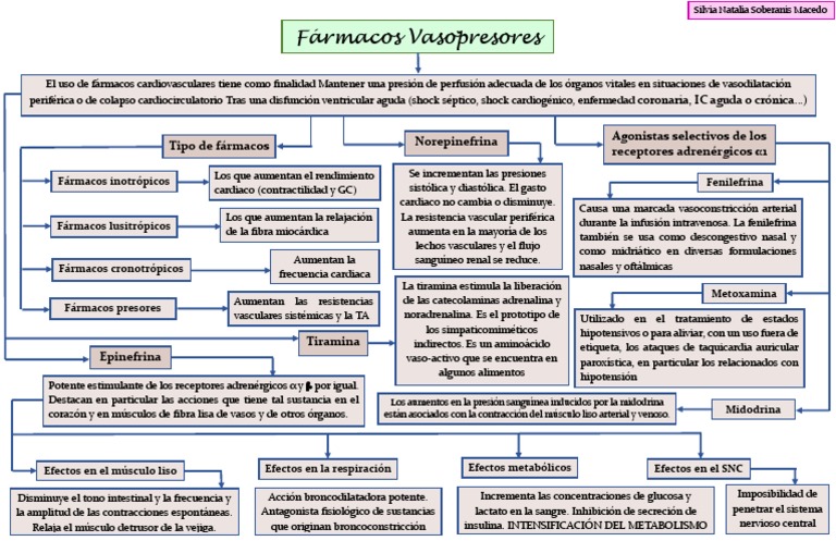 2 Fármacos Vasopresores | PDF | Medicina CLINICA | Especialidades Medicas