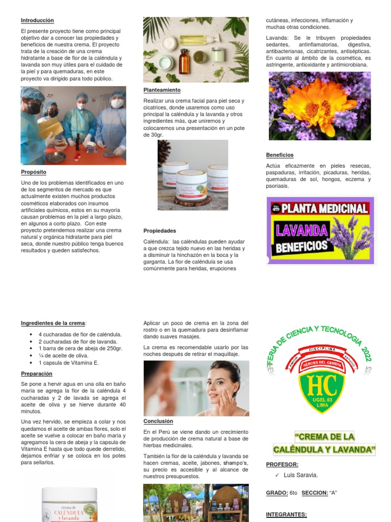 Triptico de Crema Actualizado | PDF | Productos cosméticos ...