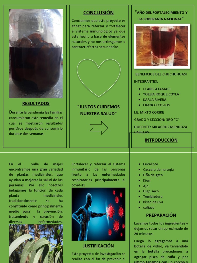 TRIPTICO de Experimento | PDF