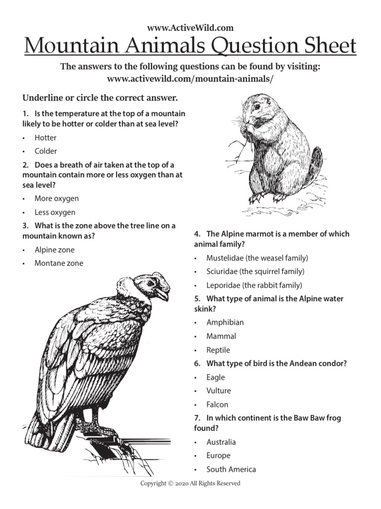 Mountain Animals Question Sheet | PDF | Freedom Of Expression Law ...