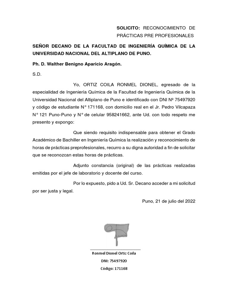 SOLICITUD RECONOCIMIENTO DE PPP - Ronmel Dionel Ortiz Coila | PDF