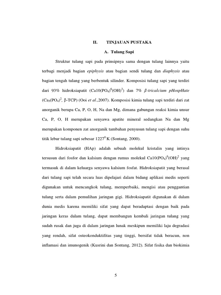 Struktur Tulang Sapi | PDF