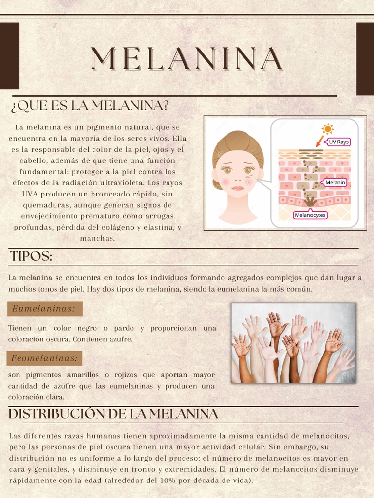 Melanina | PDF | Piel