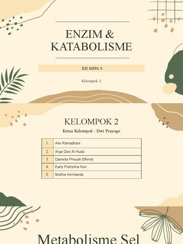 Metabolisme Sel | PDF