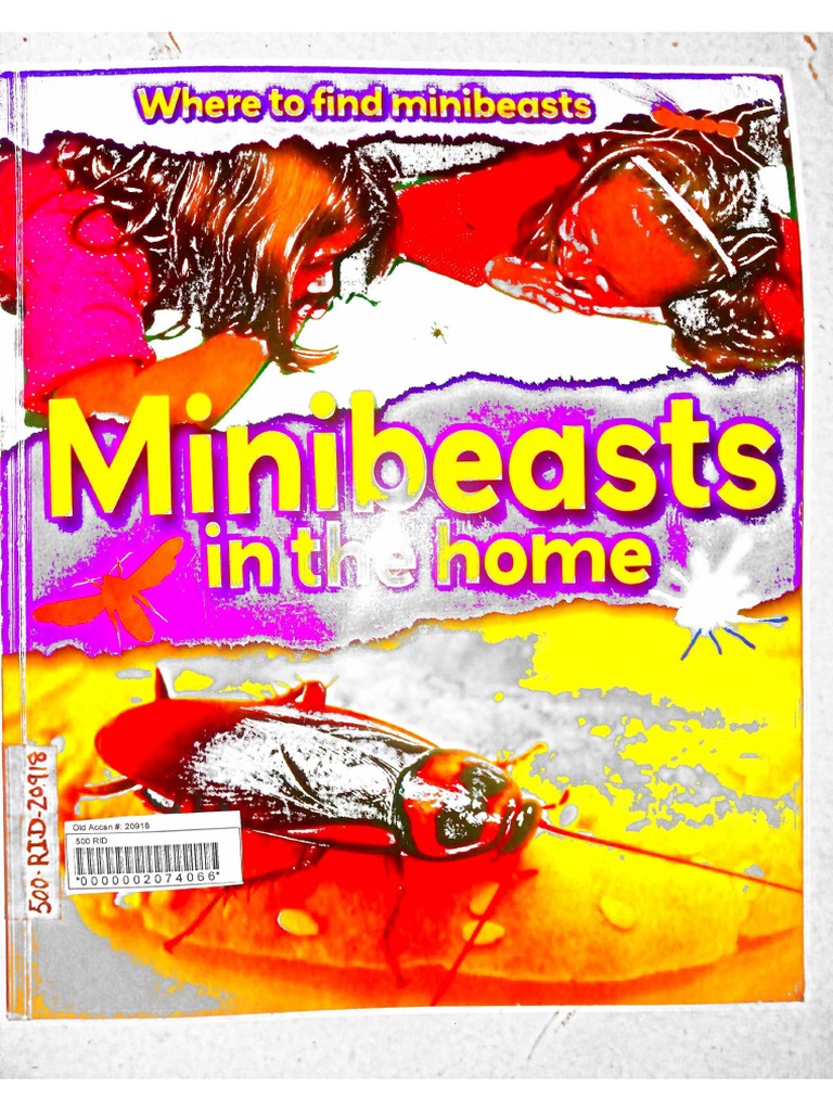 Minibeasts in The Home | PDF