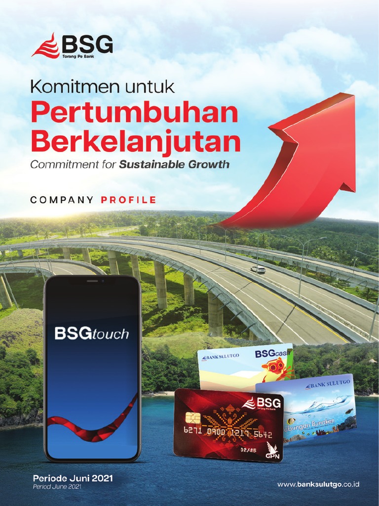 Bankreport BSG Company Profil Juni 2021 313 | PDF