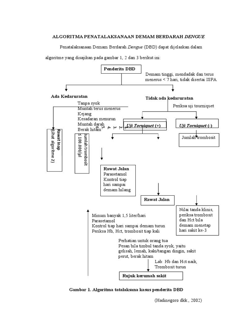 Algoritma Penatalaksanaan Demam Berdarah Dengue | PDF