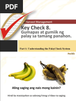 Sistemang Palaycheck para Sa Palayang May Patubig PDF | PDF