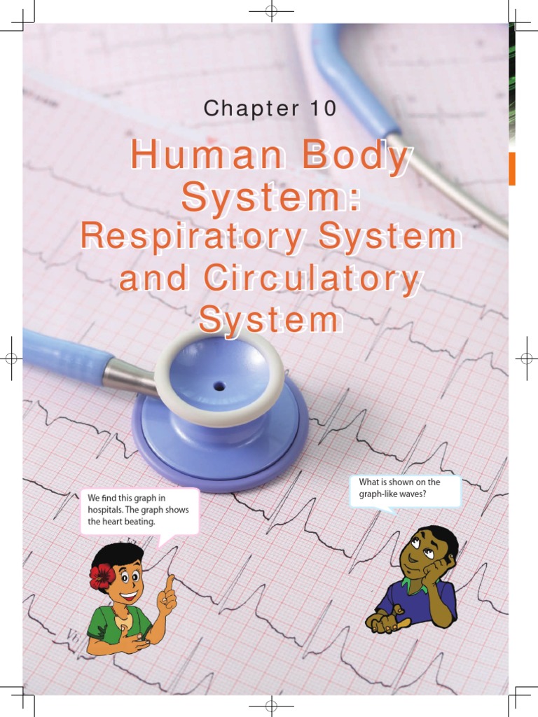 g6 Science Text 03 | PDF | Blood | Breathing