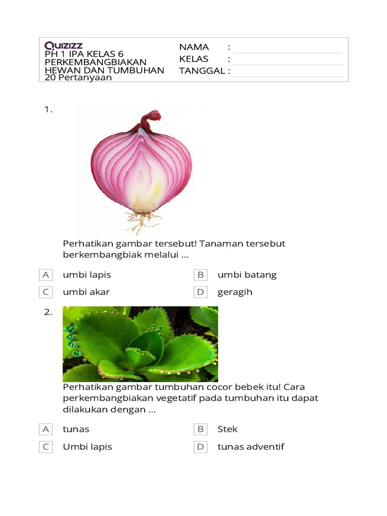 PH 1 Ipa Kelas 6 Perkembangbiakan Hewan Dan Tumbuhan | PDF