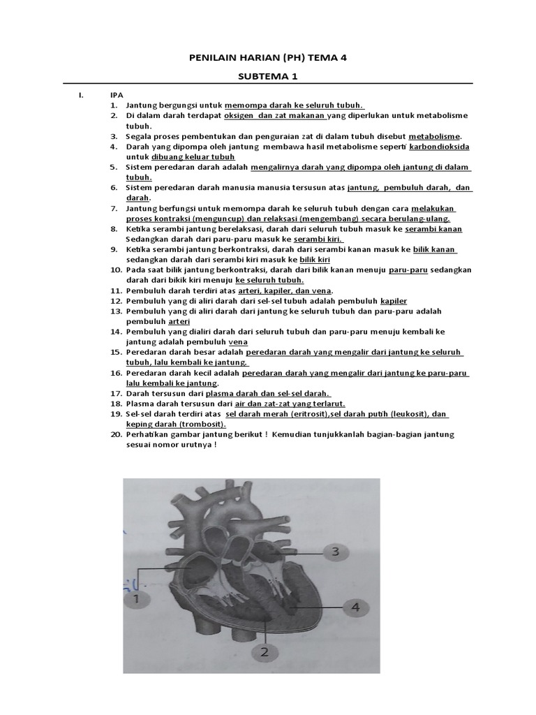 PH IPA & BI Kels 5 Tema 4 Subtema 1 | PDF