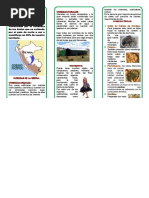 Infografia Imanes | PDF | Imán | Magnetismo