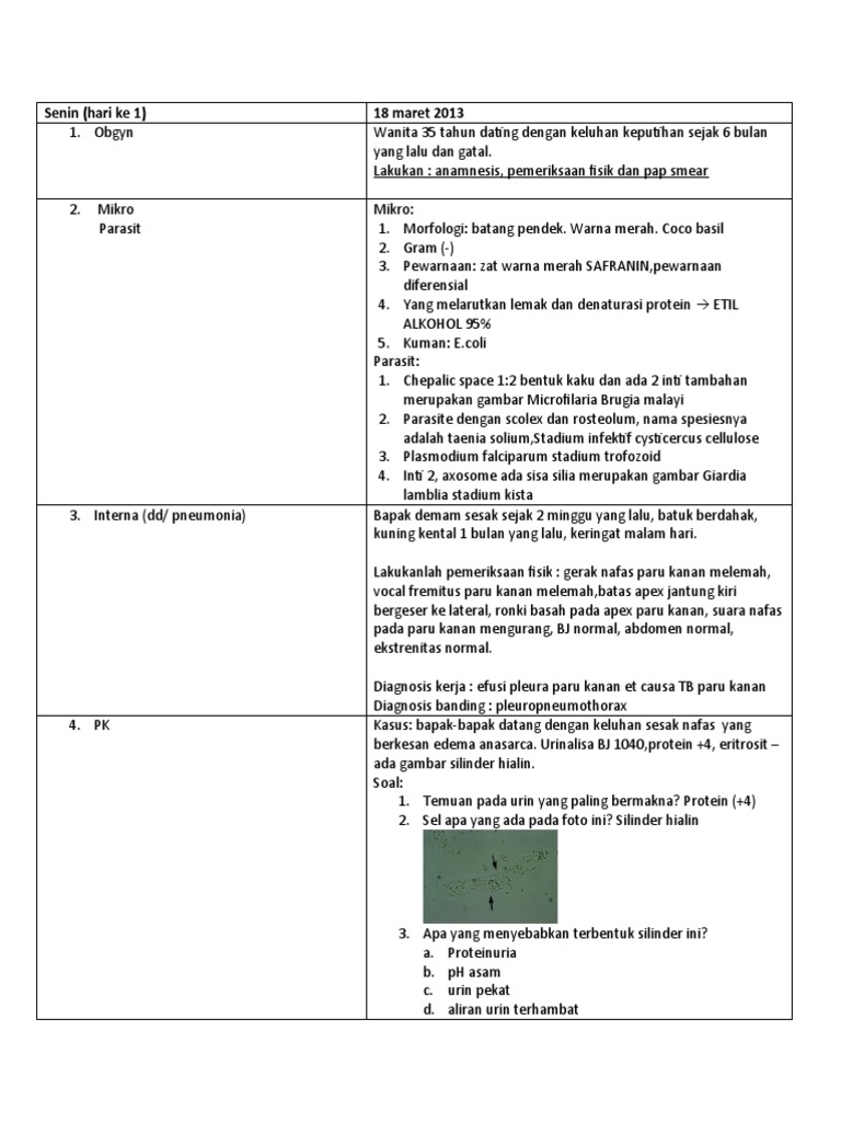 Soal OSCE 2013 | PDF